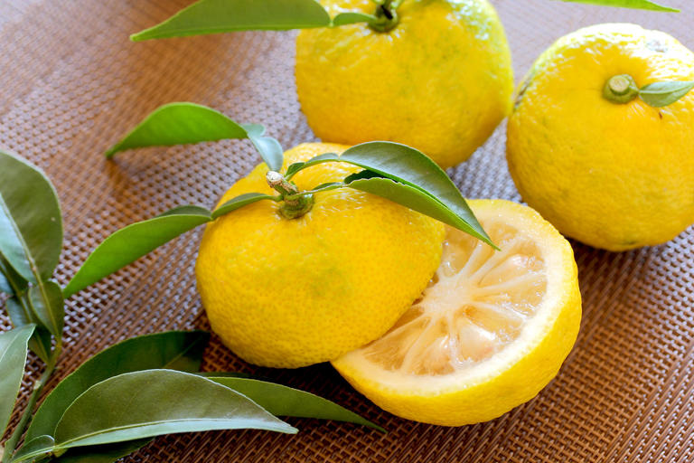 Yuzu Salt Recipe | Easy Vegan Recipes