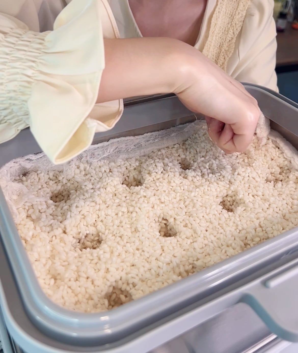 Sweet Fermented Rice Wine (Jiu niang, 酒酿) | Recipe with video