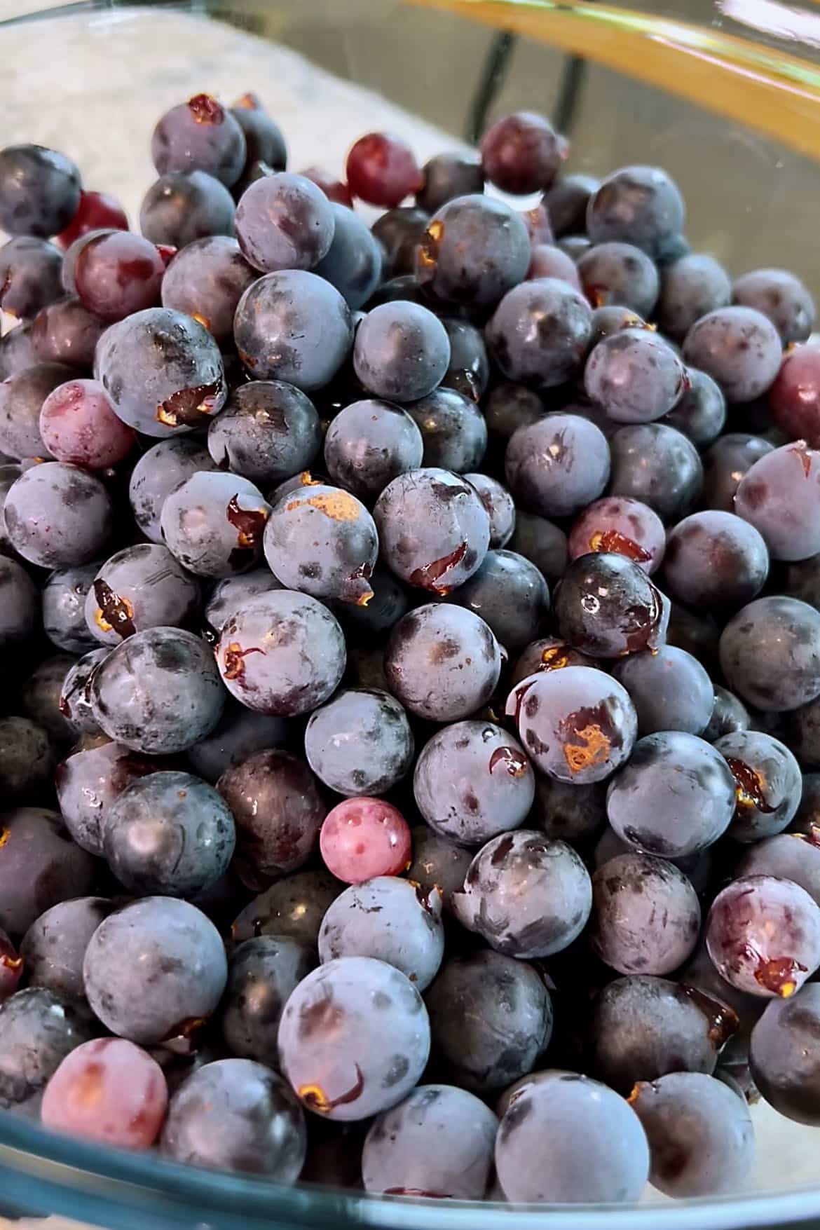 Homemade Grape Wine (2 ingredient recipe) | Recipes with Videos