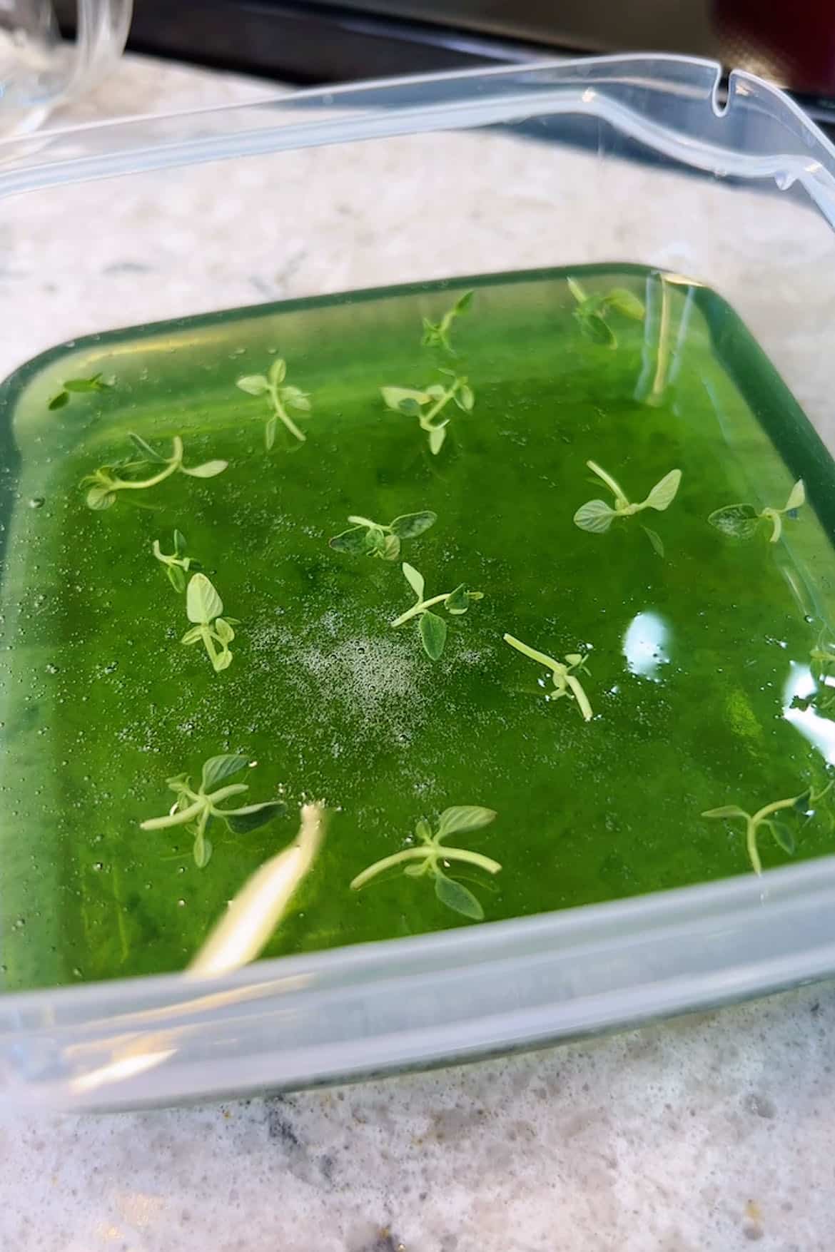 Kohakutou (Japanese crystal candy) Recipe - flavored with Juice