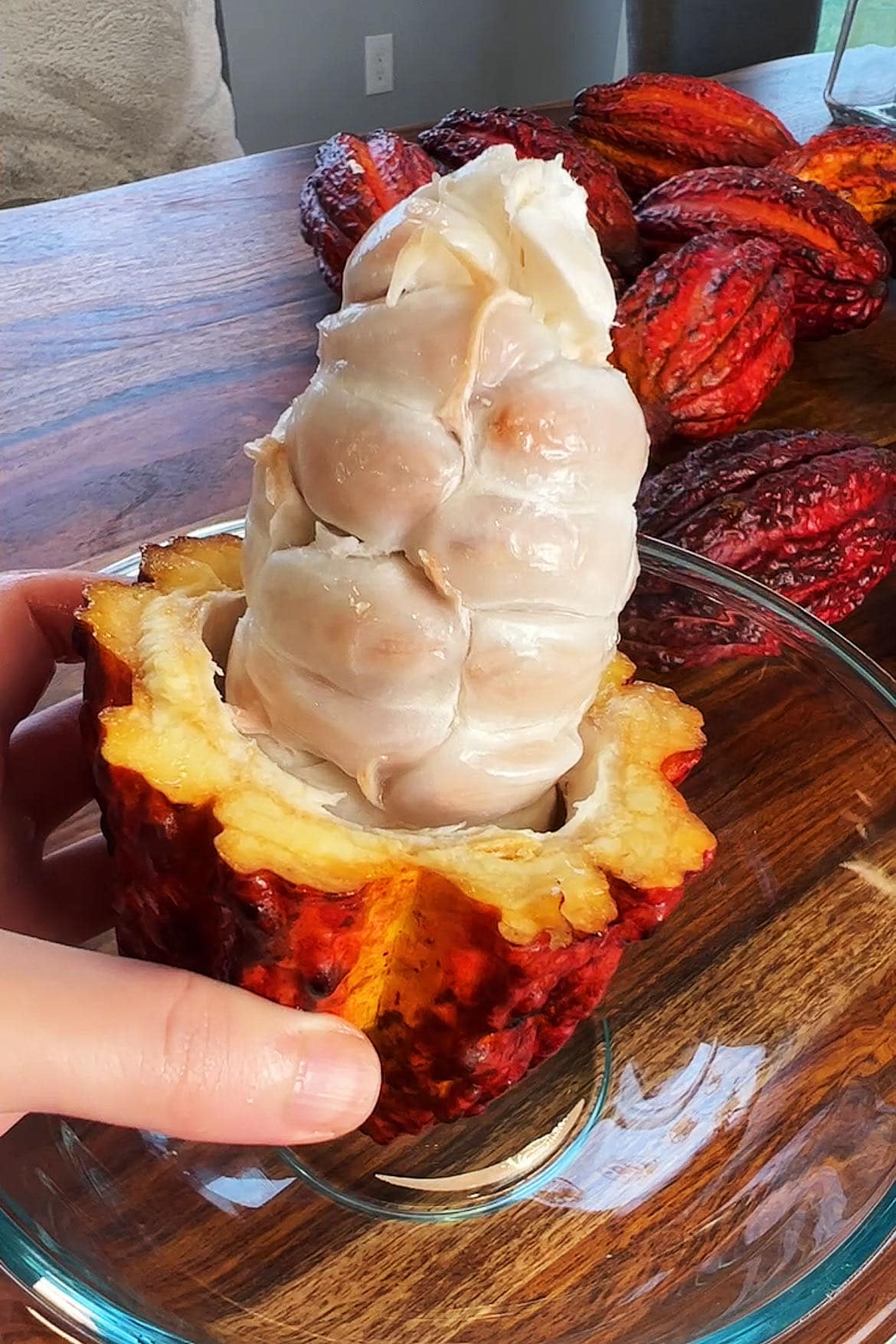How to Make Chocolate from Cacao Beans | Ms Shi and Mr He