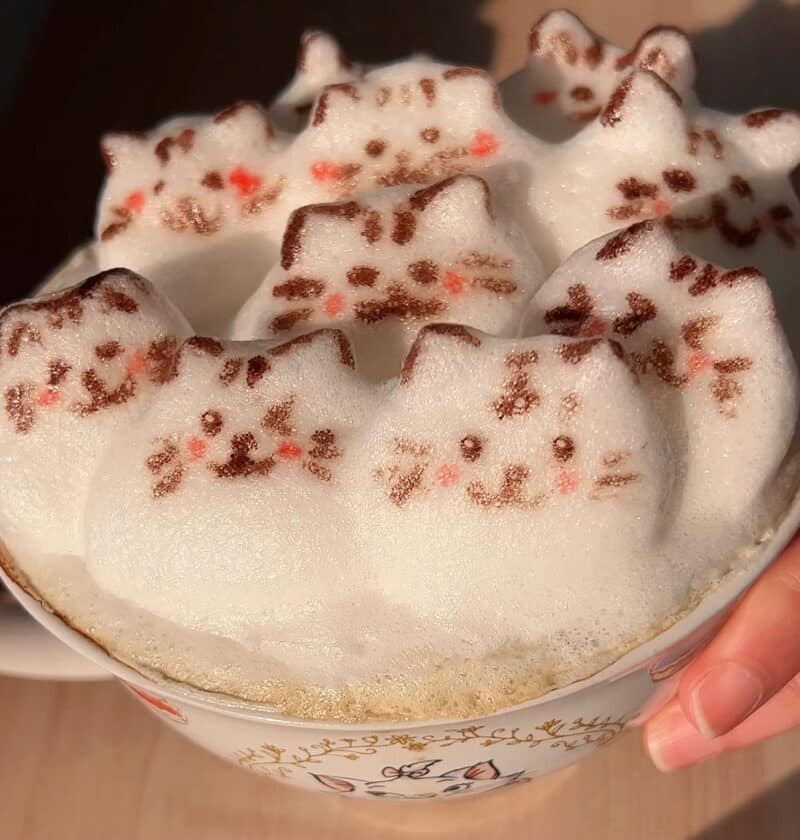 How to Make Latte Art - Easy 3d cat latte art with handheld frother