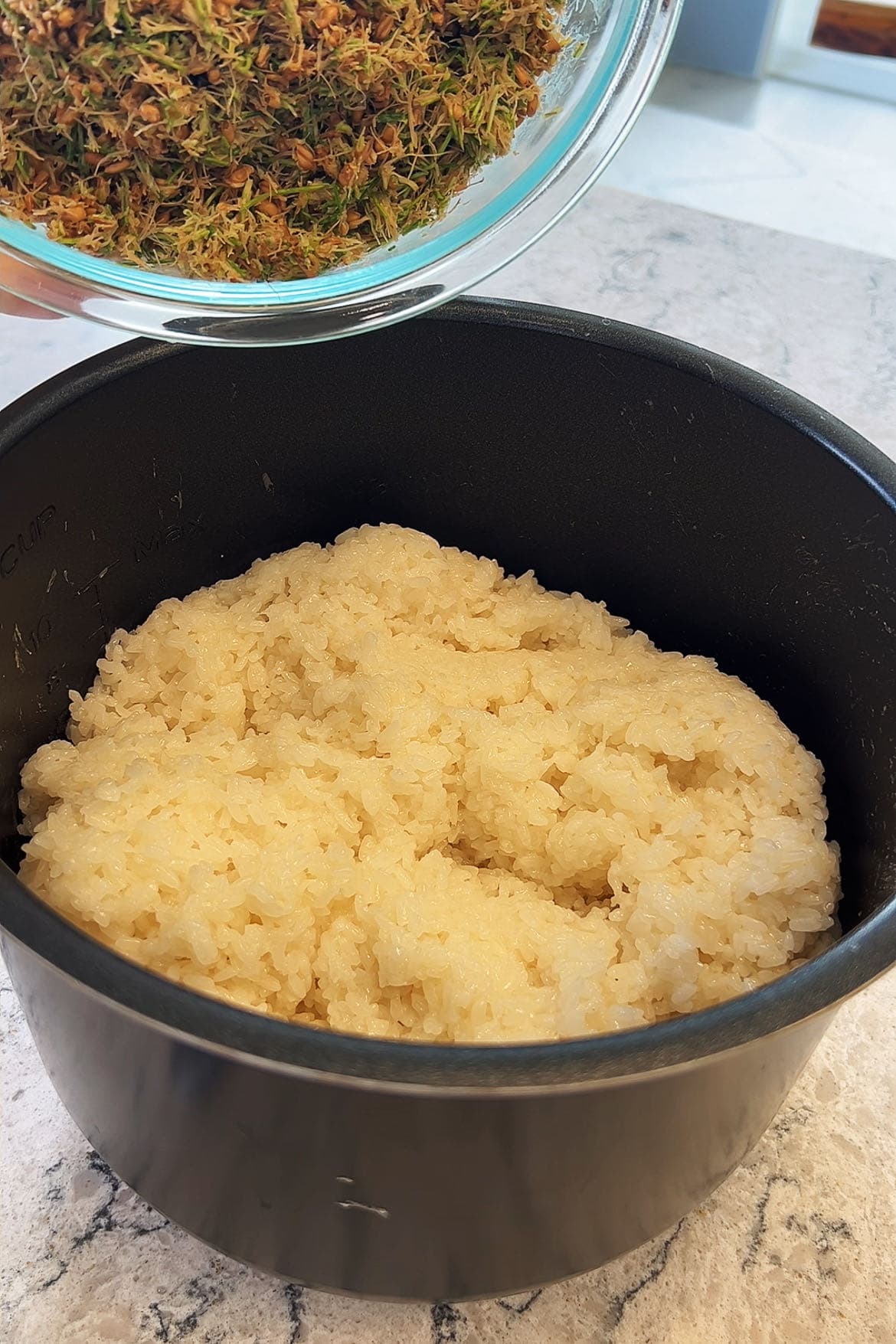 Vegan Honey Recipe (maltose syrup made from wheat grass)
