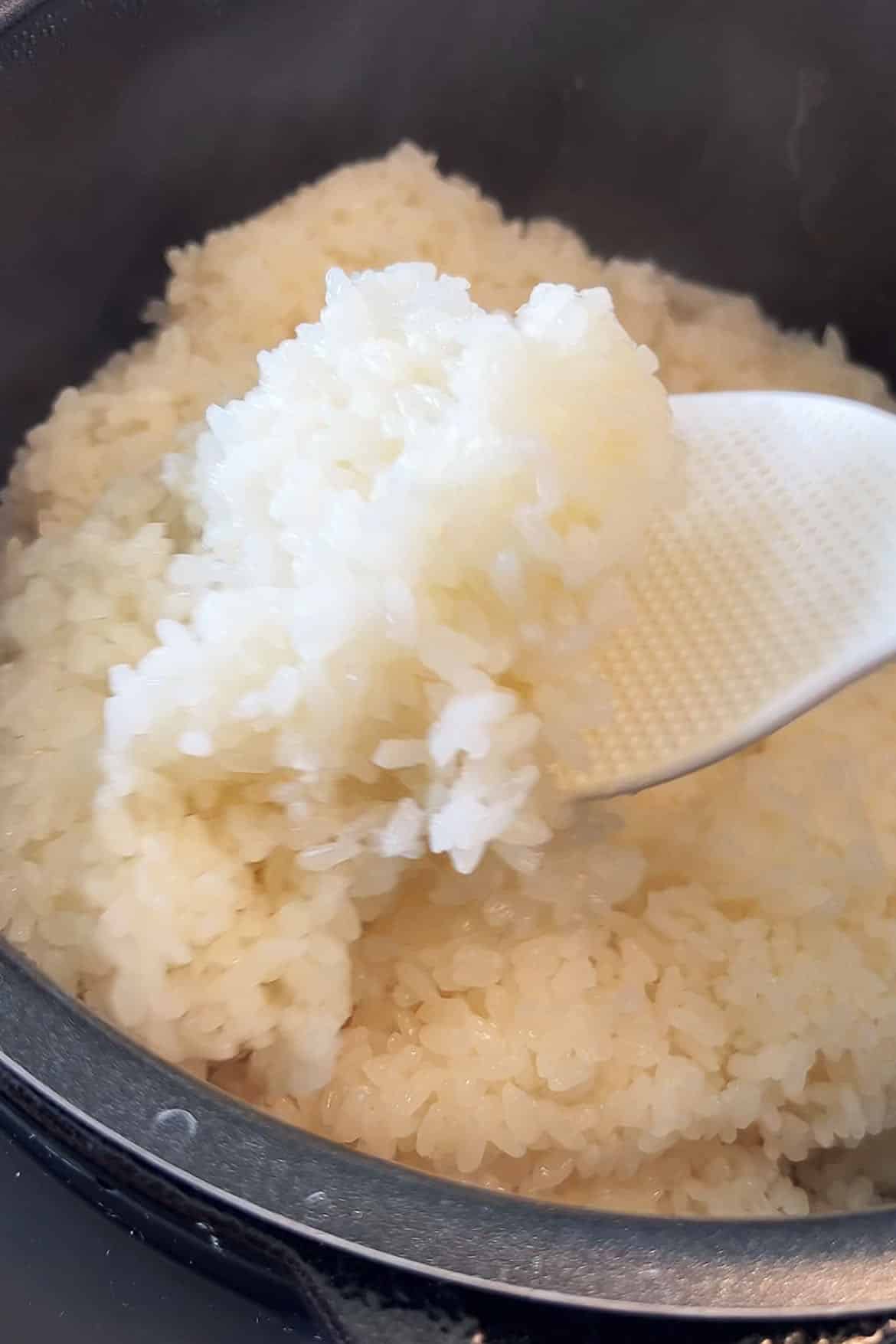 Vegan Honey Recipe (maltose syrup made from wheat grass)