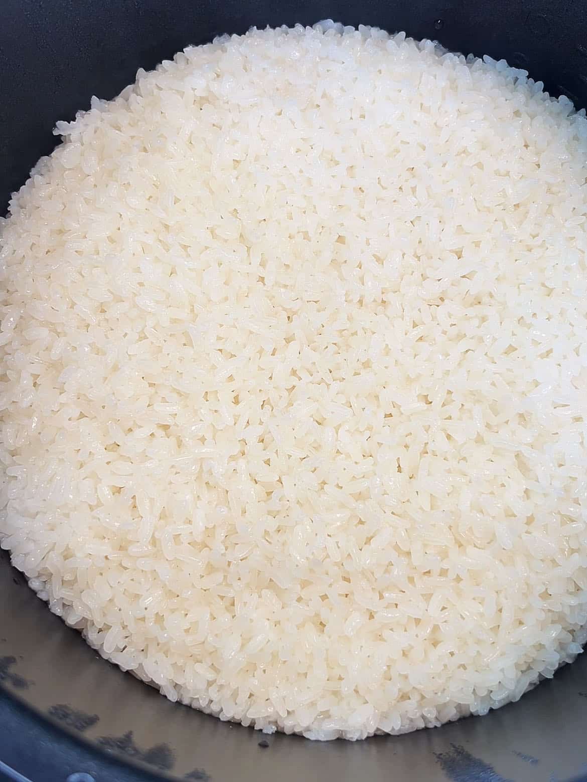 Vegan Honey Recipe (maltose syrup made from wheat grass)