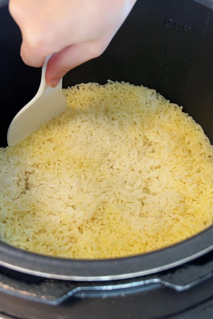 Hainanese Chicken Rice - steamed chicken (ginger scallion sauce)