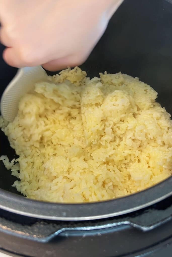 Hainanese Chicken Rice - steamed chicken (ginger scallion sauce)