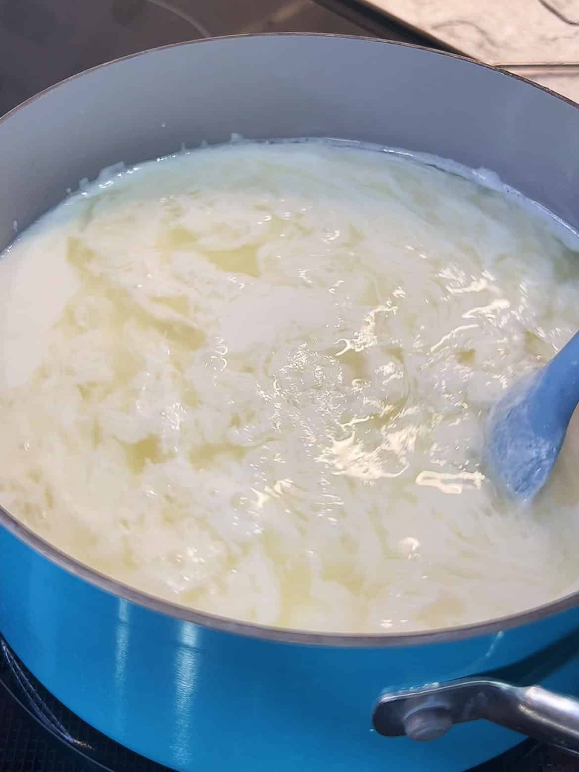 How to Make Mozzarella Cheese (2 ingredients: Milk and Vinegar)