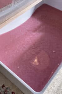 Handmade Paper (How to make plantable paper step-by-step)