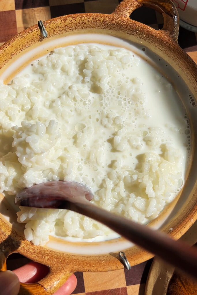 Rice Ice Cream | Ms Shi and Mr He's Easy Dessert Recipes with Videos